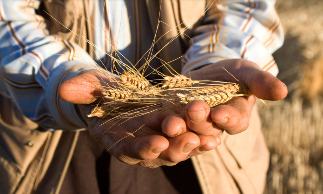 Celiac disease