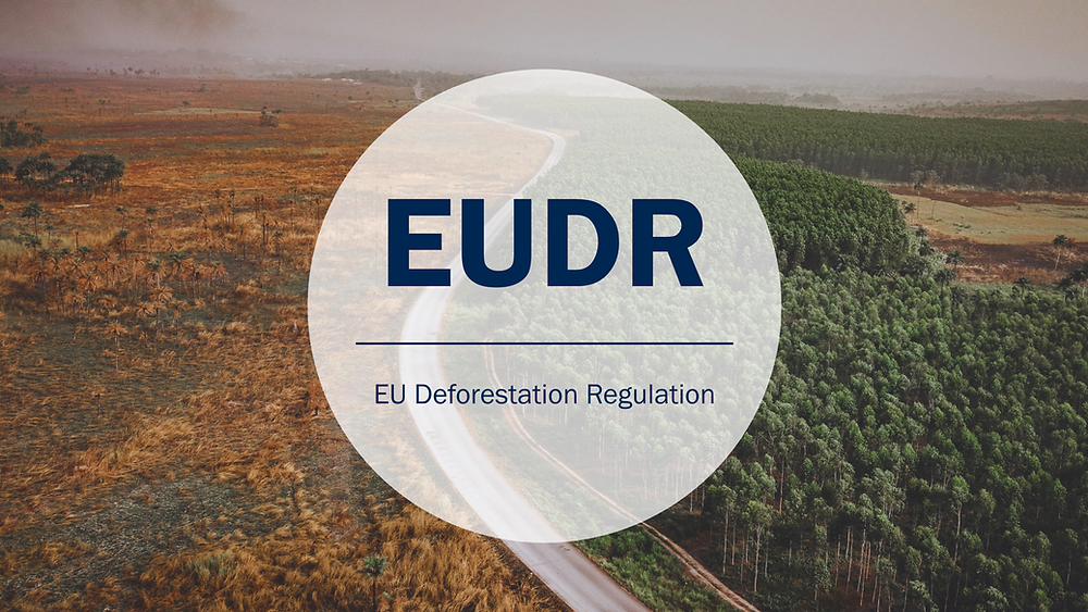 EUDR and the Future of Furniture Imports: How ASKT Ensures Traceability ...