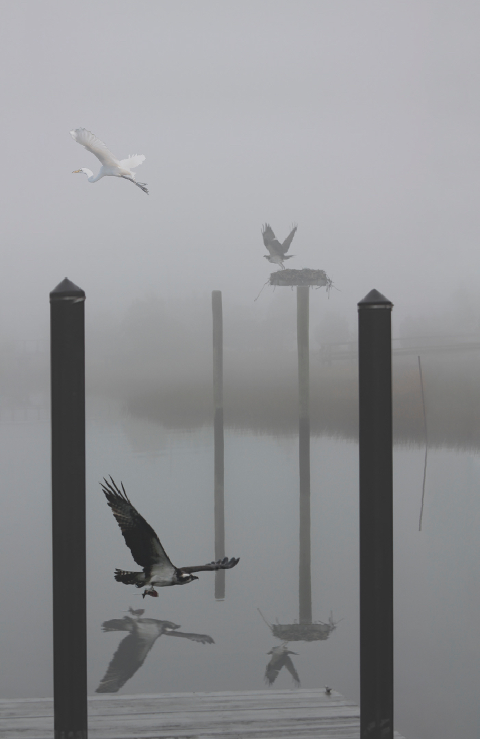 HOME | andrea-bonfils