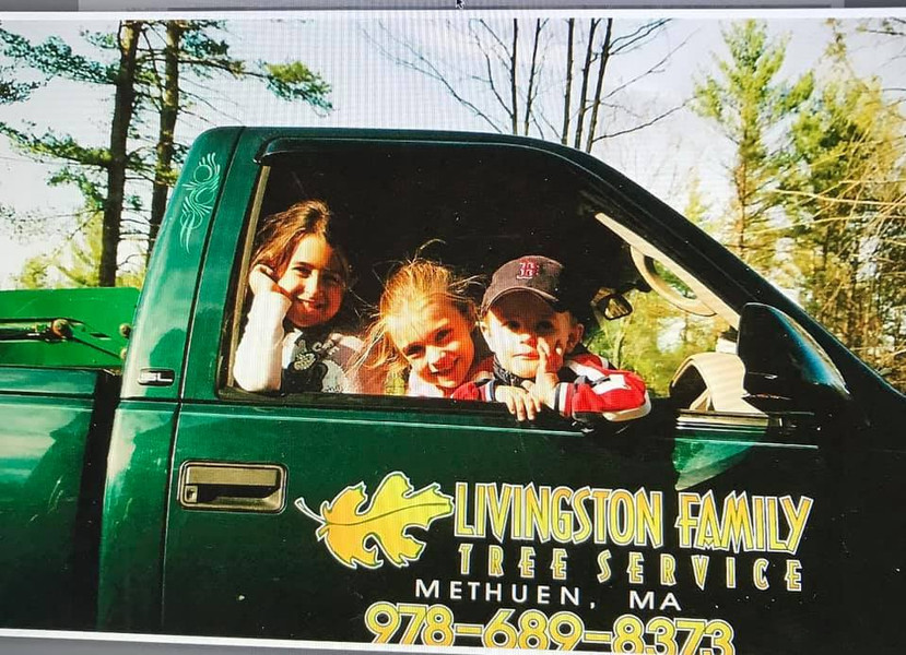 Livingston Family Tree Service | Merrimack Valley, MA, United States