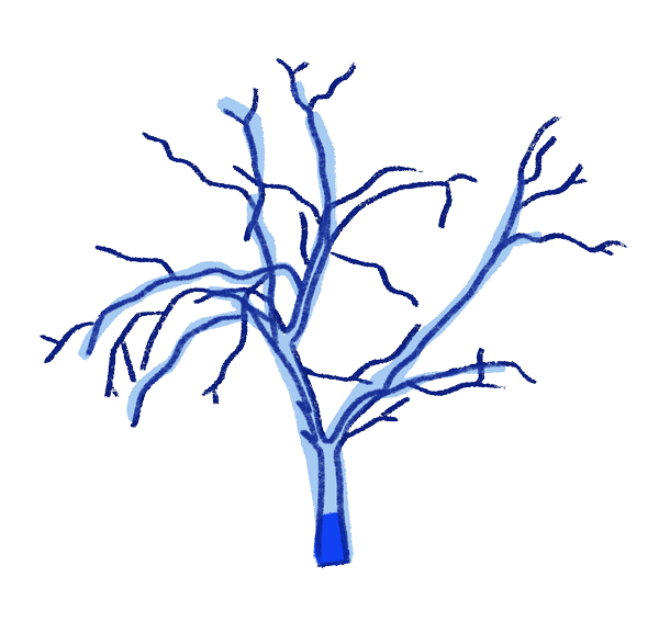 The Blue Tree Project