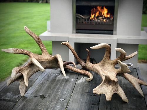 Antler Set - 2020DDLR | The Antler Co.