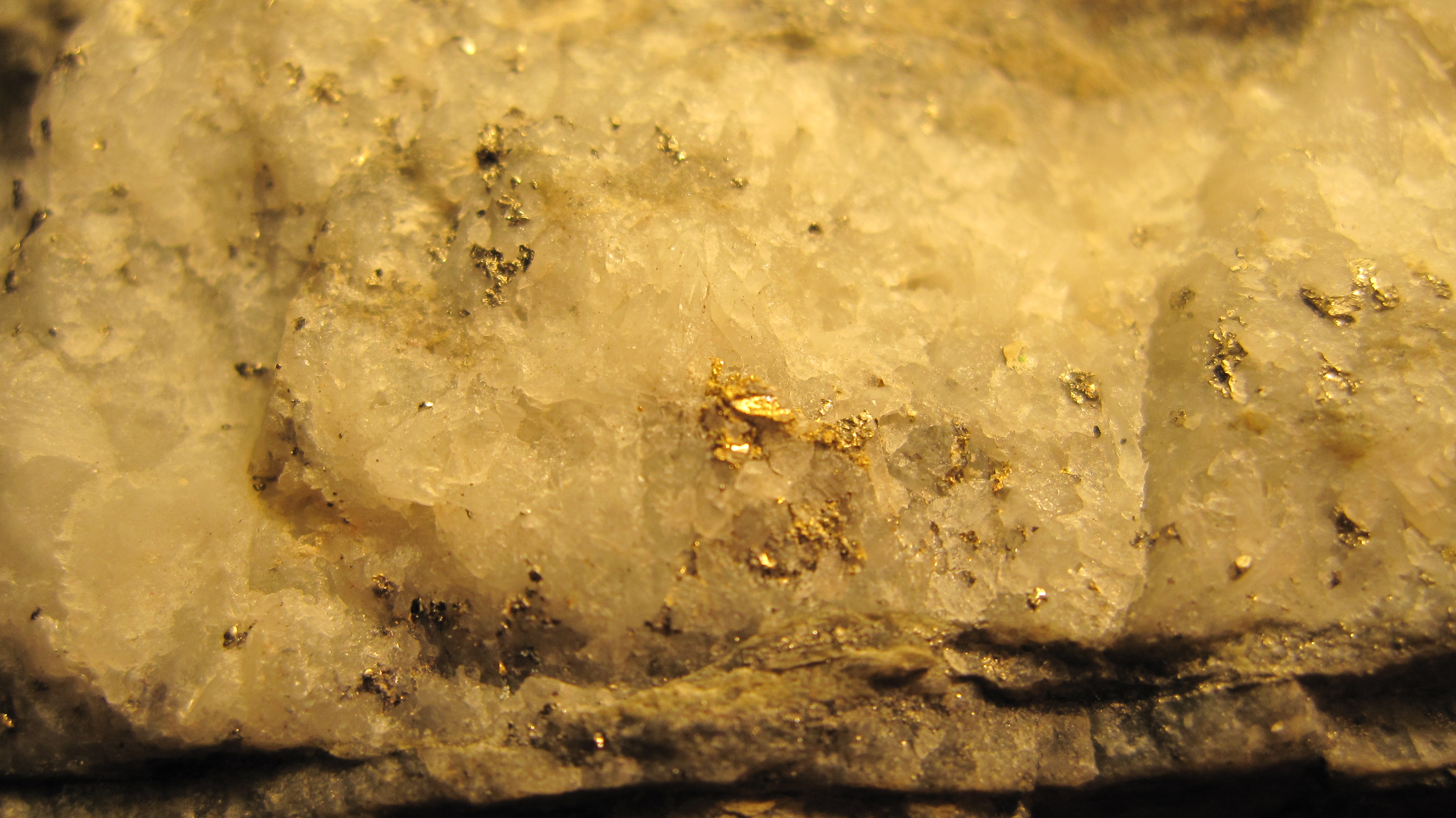 Home | Phoenix Gold Mine | Idaho Springs, CO