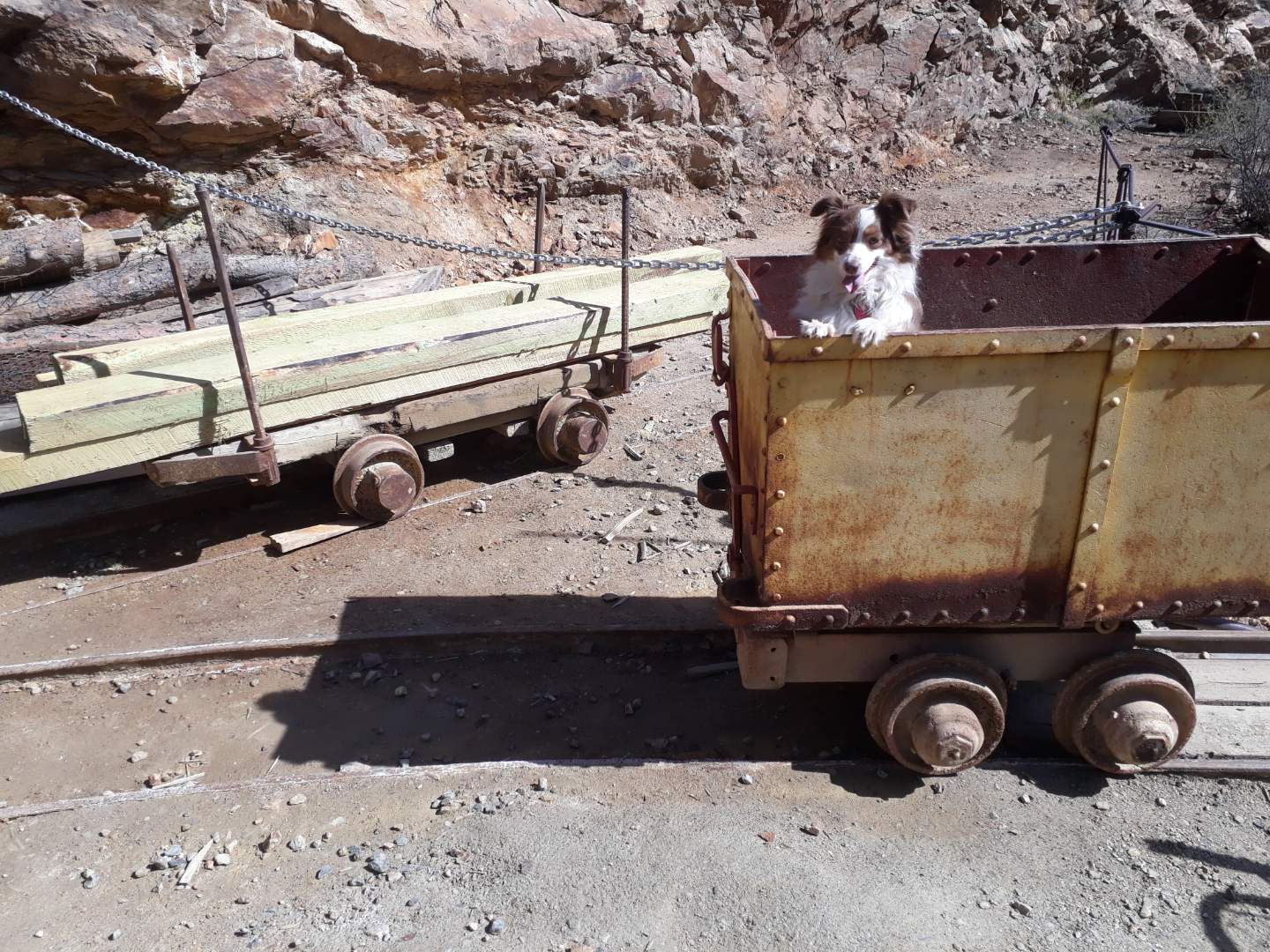 Phoenix Gold Mine | Colorado Gold Mine Tours | Gold Panning