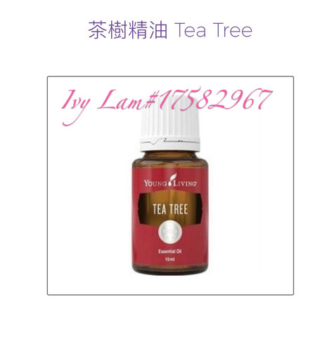 Tea Tree | Ivy Lam