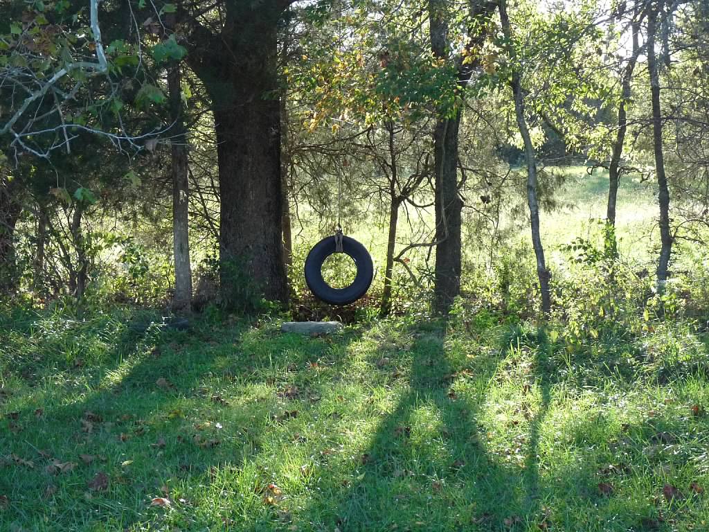 Persimmon Farm | Tennessee