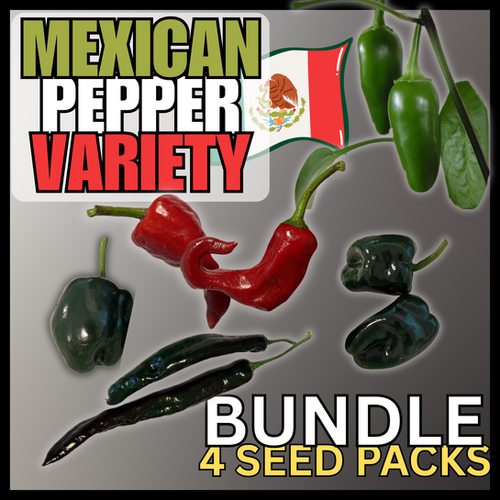 Mexican Pepper Variety Bundle – Jalapeño, Poblano (Ancho), Pasilla ...