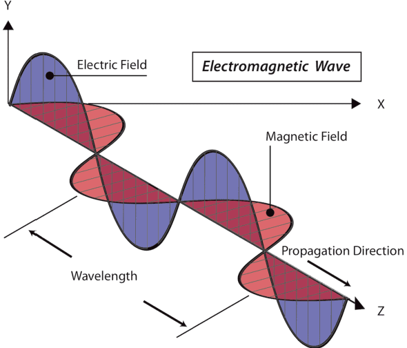 What The Quantum what-the-quantum