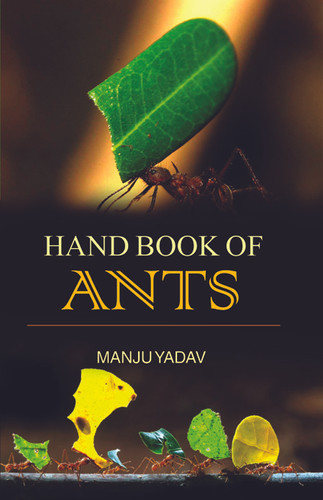 Handbook of Ants | Discovery Publishing