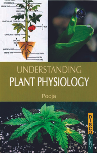 Understanding Plant Physiology | Discovery Publishing