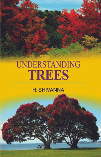 Understanding Trees | Discovery Publishing