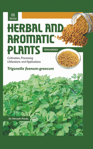 6. Trigonella foenum-graecum (Fenugreek) | Discovery Publishing