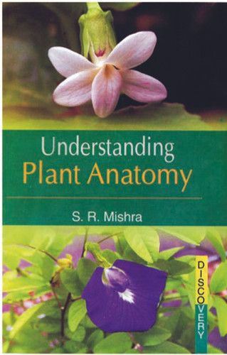 Understanding Plant Anatomy | Discovery Publishing