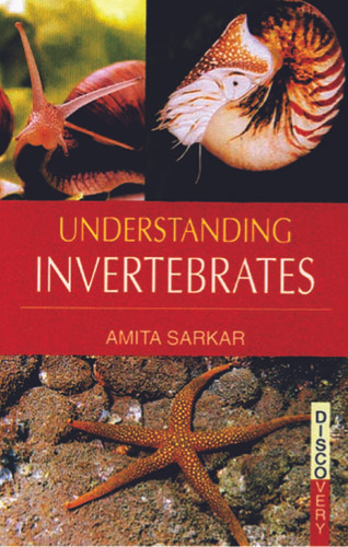 Understanding Invertebrates | Discovery Publishing