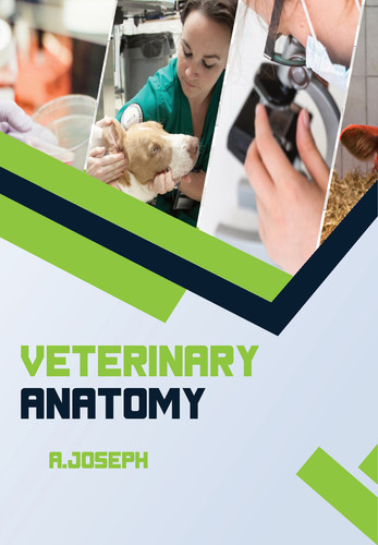 Veterinary Anatomy | Discovery Publishing