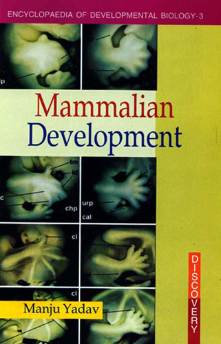 Mammalian Development | Discovery Publishing