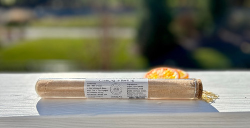 Champagne Darling | Your Grandpa's