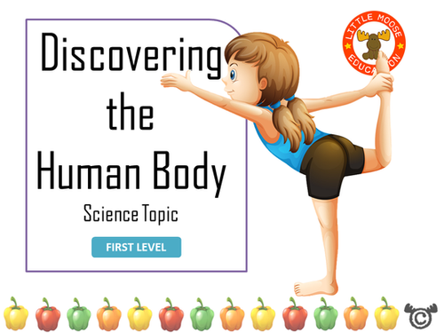 Discovering the Human Body | LittleMooseEducation