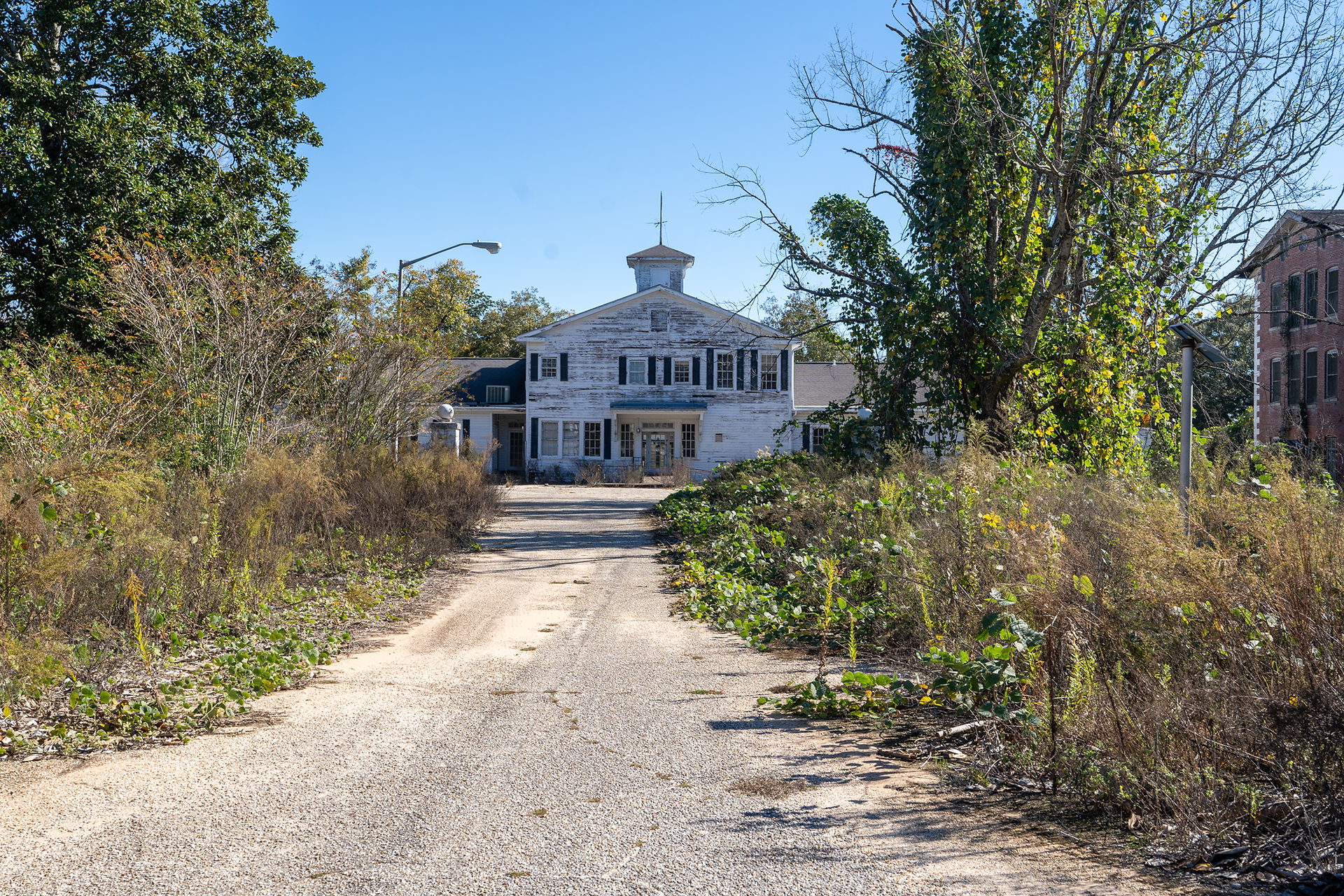 MountVernon | insanectuary
