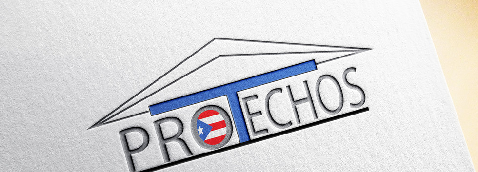Puerto Rico Section 1101.01 nonprofit | PRoTECHOS | Puerto Rico