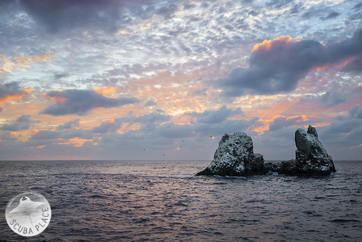 Socorro Islands | Mexico | The Scuba Place