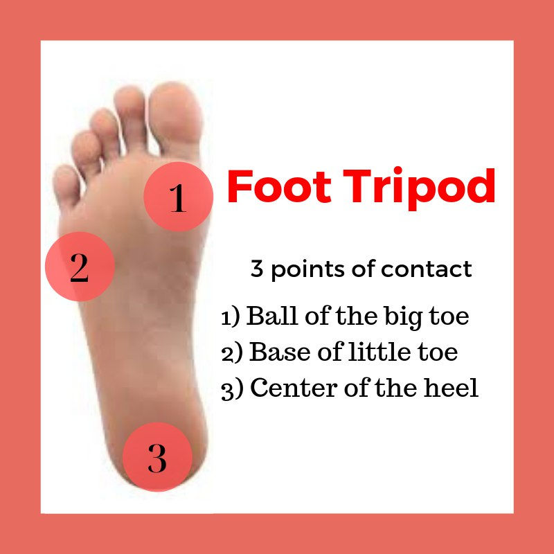 Flat feet? Try forming a foot tripod - Movinglives Physiotherapy