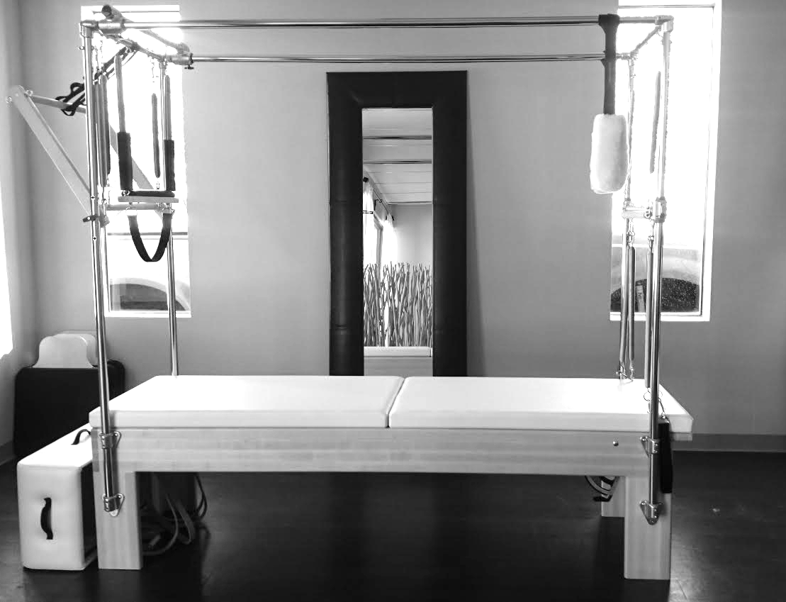 PURE PILATES DALLAS - Private Sessions and Small Group Classes