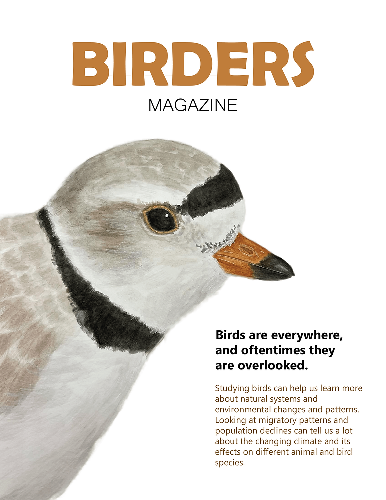 Creating a WI Plover Display Case