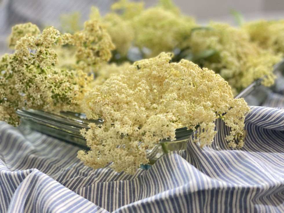 Elderberry Elixir Recipe