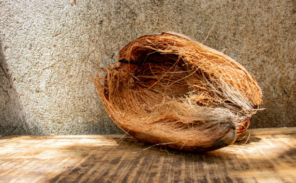 Innovations in Coir Manufacturing: Our Eco-Friendly Processes