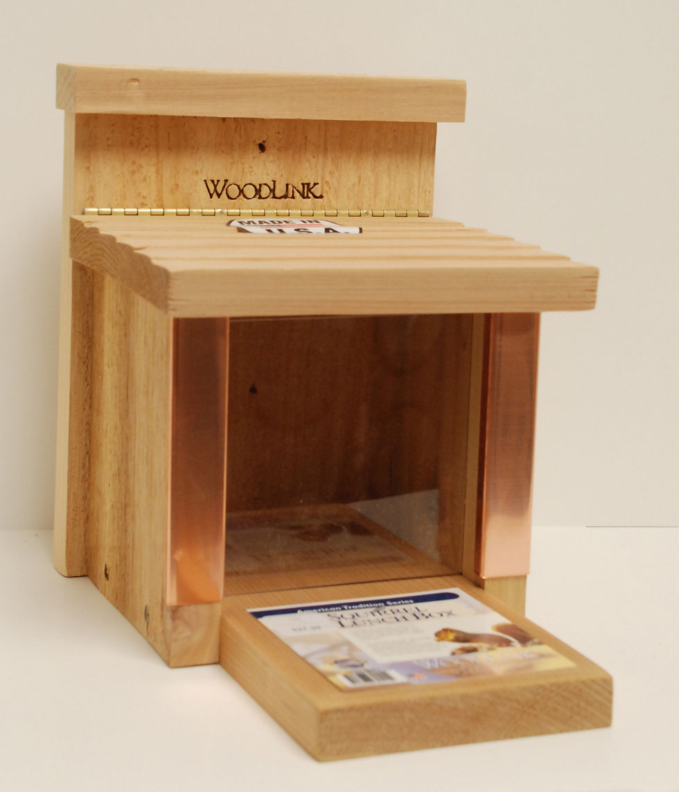 Squirrel Box Feeder | freeportwildbird