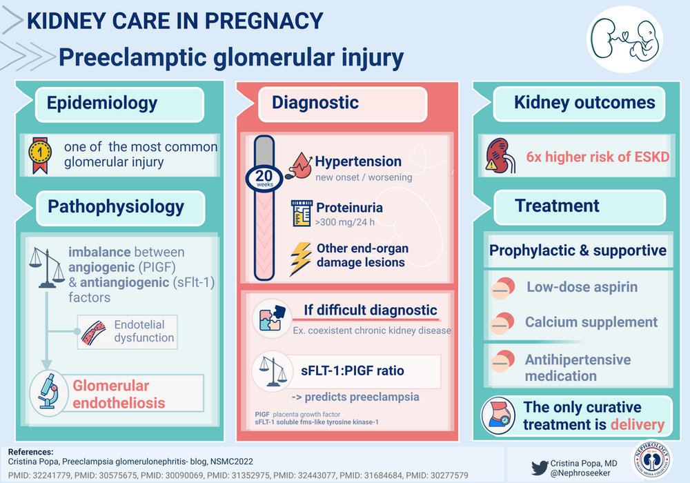 Preeclampsia - the story of the underestimated glomerular injury