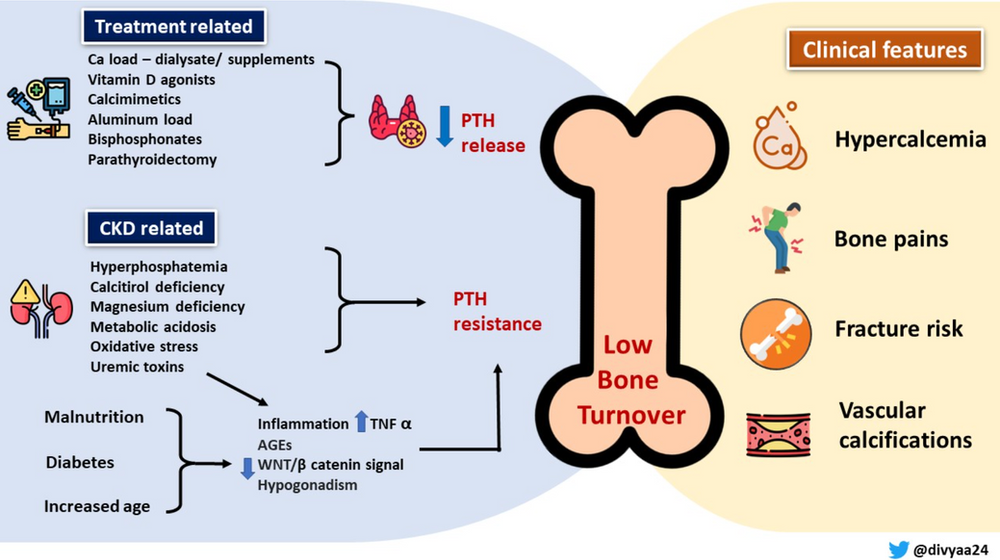 Changing dynamics of adynamic bone disease