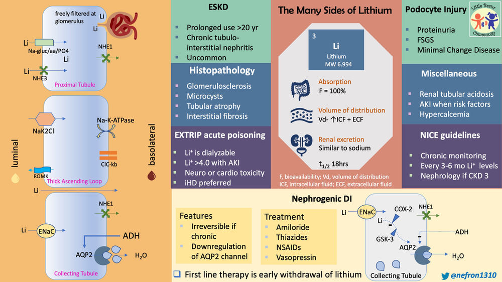 The Many Sides of Lithium