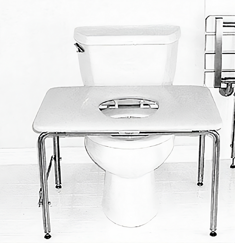 Toilet Transfer Bench 443 White | Versable Designs