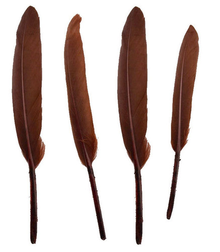 Brown Goose Feathers 50pieces | Ribbons.ae
