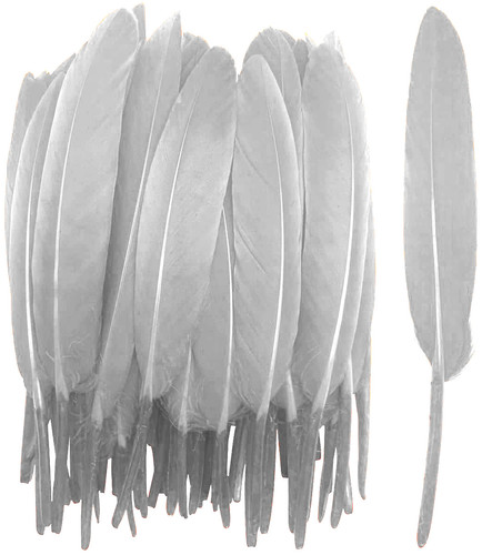 Grey Goose Feathers 50pieces for DIY Crafts Costume and Decoration ...