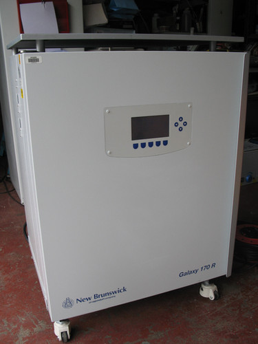 Eppendorf/New Brunswick Galaxy 170R Co2 Incubator, 170L capacity | UK ...