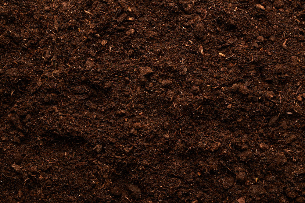 Discover and Improve Peat Soil