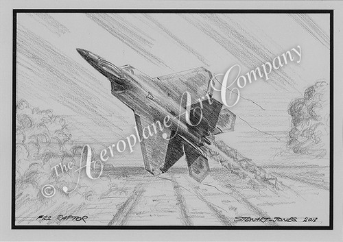 Lockheed Martin F-22 Raptor | The Aeroplane Art Co