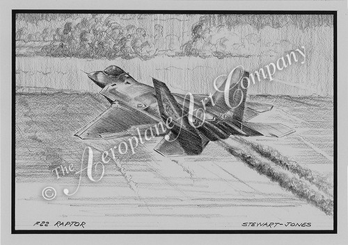 Lockheed Martin F-22 Raptor | The Aeroplane Art Co