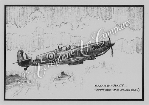 Supermarine Spitfire IIB | The Aeroplane Art Co