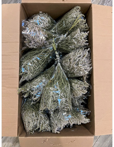 German Statice #2 (40-2 Ounce Bunches) | Bulk Case | Wholesale (Dried ...