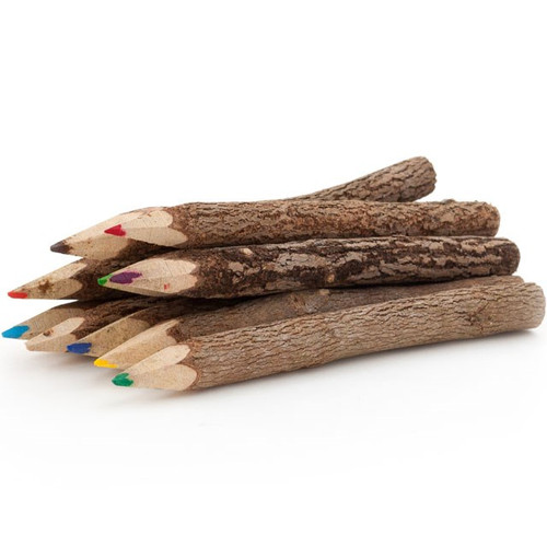 Set of 10 Twig Pencils | Wild Ivy Norfolk