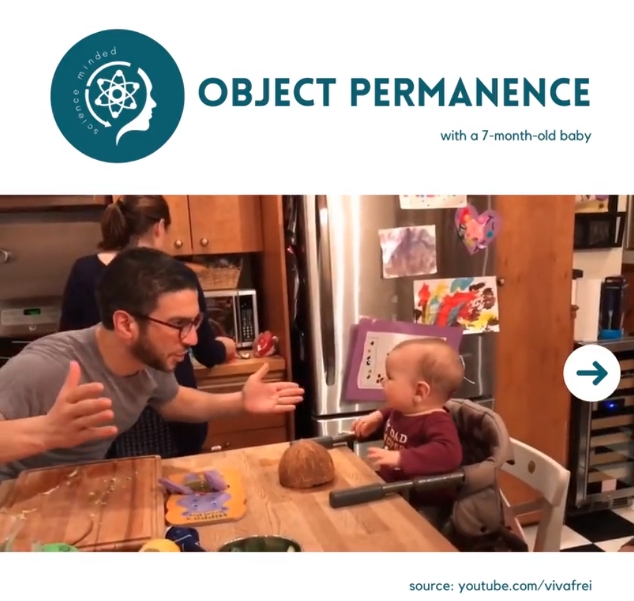 Object Permanence