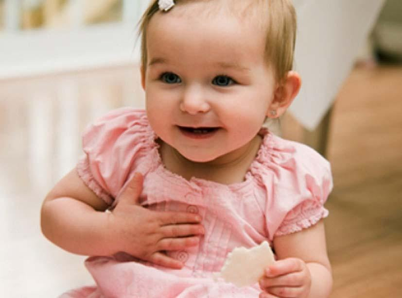 Baby Sign Language Baby Sign Language