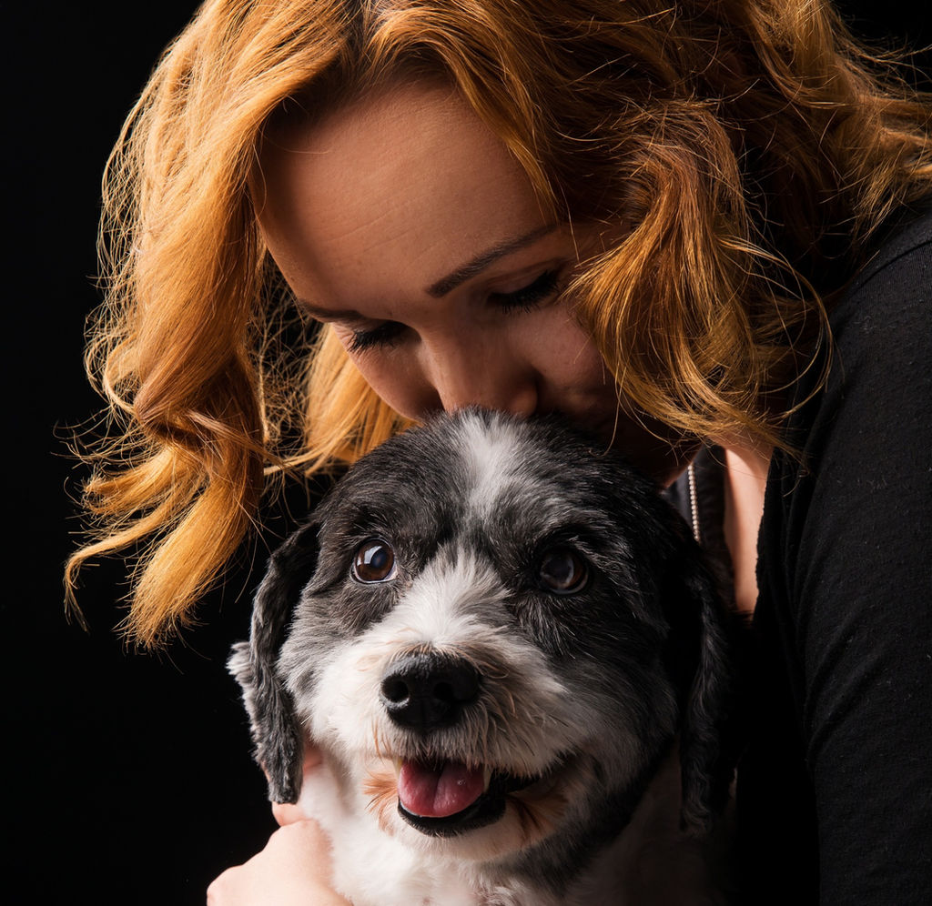 Home | Doggie Adventures In Dubai