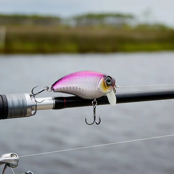 Bait | Hammerhead Kayaks