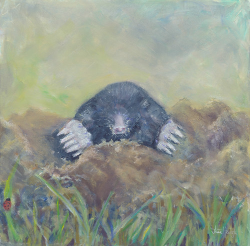 Mole Print | Jane Haigh