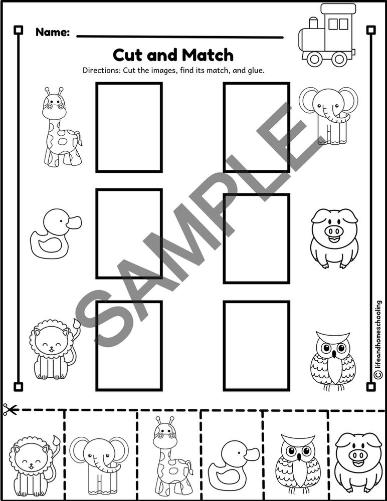 Preschool Fun Matching Activity